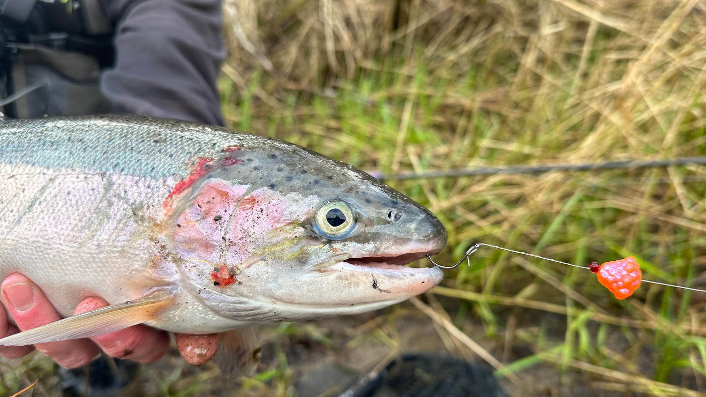 Steelhead Fishing Tackle | Elevated Tackle