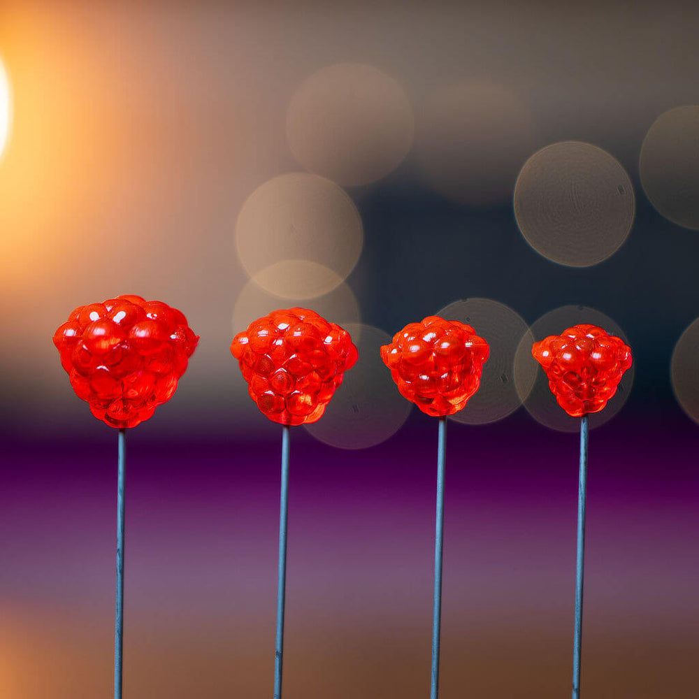 Steelhead Egg Clusters - Transparent | Soft Okie Drifter - Gooey Bob ...