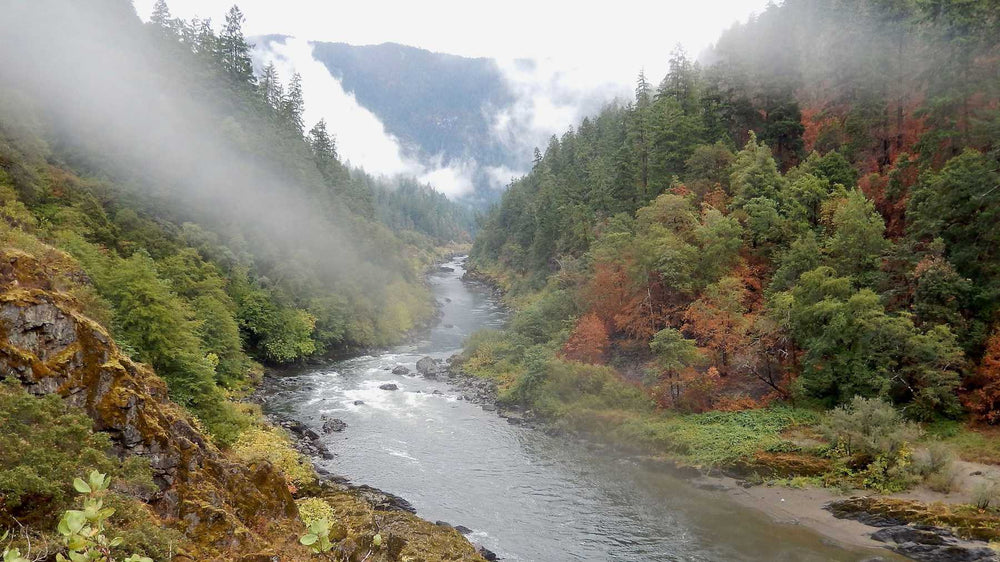 Nehalem River Level | Oregon River Water Levels